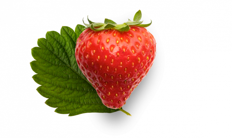 Fragola | Sant'Orsola