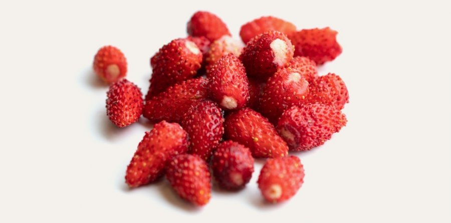 Fragolina | Sant'Orsola