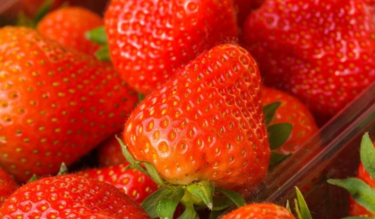 Fragola: frutto o falso frutto? | Sant'Orsola